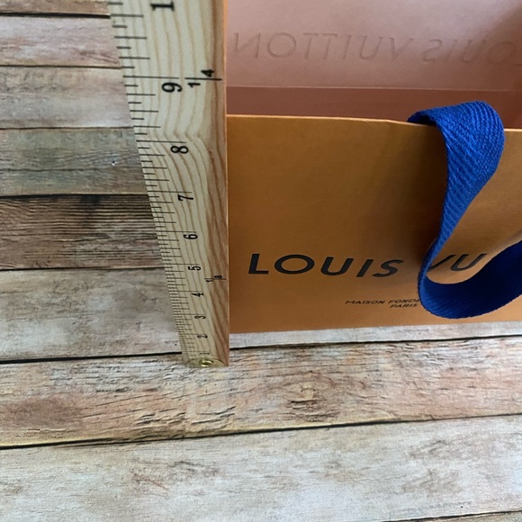 Louis Vuitton | Other | Louis Vuitton Reusable Shopping Bag | Poshmark